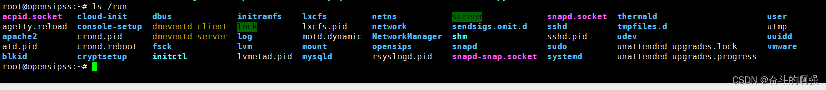 Ubuntu文件目录管理格式，/local/etc，/usr/src和/usr/local/src，/etc/init.d，Apache2，opensips.cfg，opensipsctlrc ...