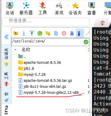 Linux虚拟机JDK、tomcat、MySQL的安装_怎么把jdk导入到虚拟机里面-CSDN博客