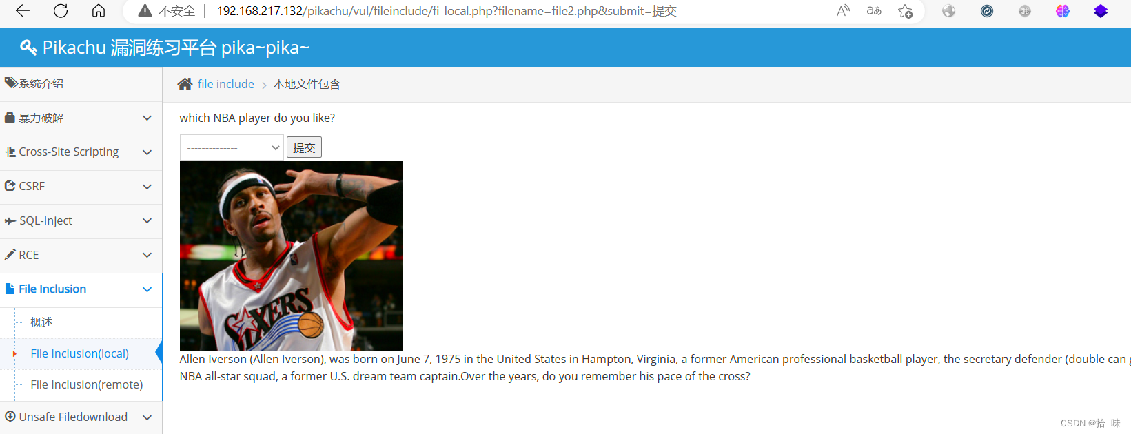 File Inclusion（文件包含）_fileinclude-CSDN博客