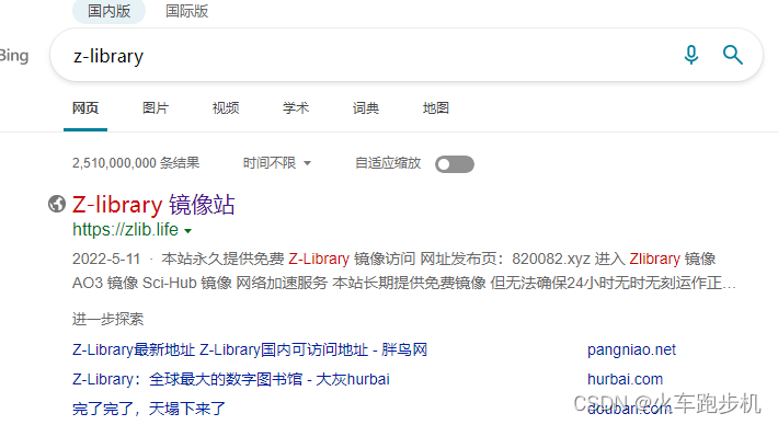Z-library、转PDF进不去头疼 看它_zlibirary下载的pdf打不开-CSDN博客