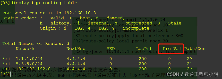 BGP基础详解（HCIP）-CSDN博客