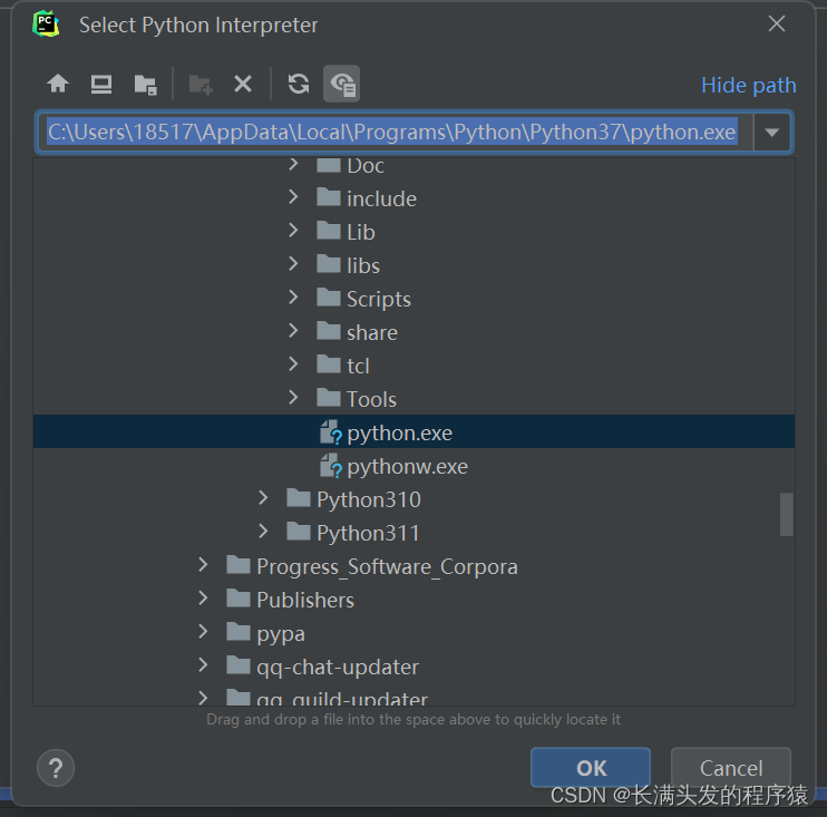 PyChrm 引入 import paddle 报错-CSDN博客