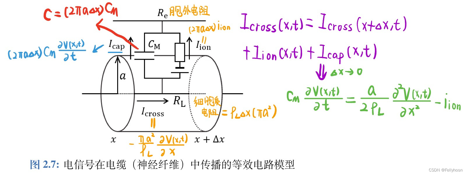 【brainpy学习笔记】神经元的电导模型——以HH模型为例_hh神经元模型原理-CSDN博客