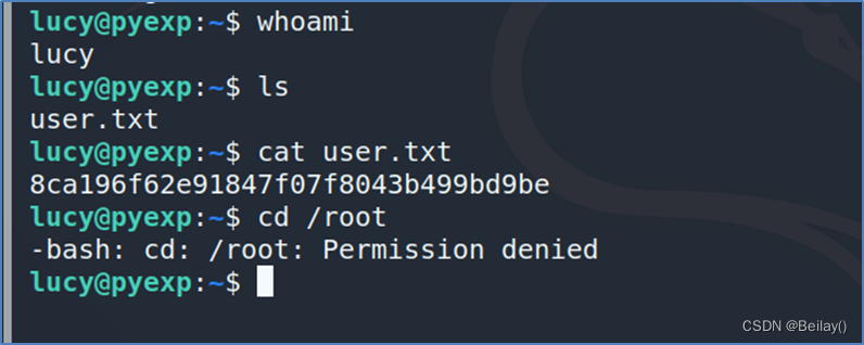 pyexp靶机总结_1337端口是什么服务-CSDN博客