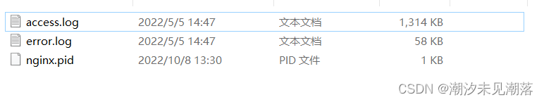 nginx: [error] CreateFile() “D:\nginx-1.21.6/logs/nginx.pid“ failed (2: The system cannot find ...