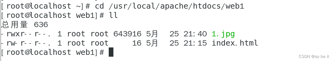 Linux Apache配置linux Apache配置文件 Csdn博客