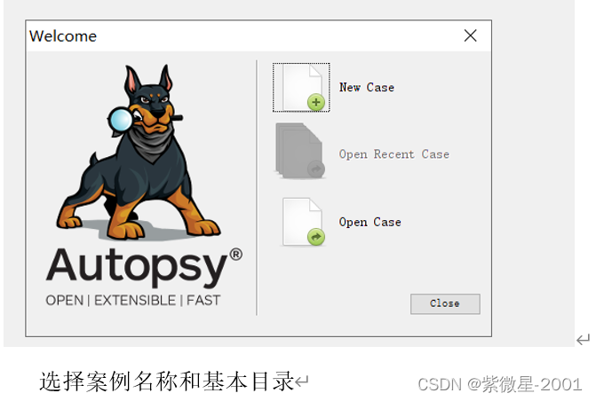 数字取证之Autopsy的下载安装及学习使用_autopsy软件-CSDN博客