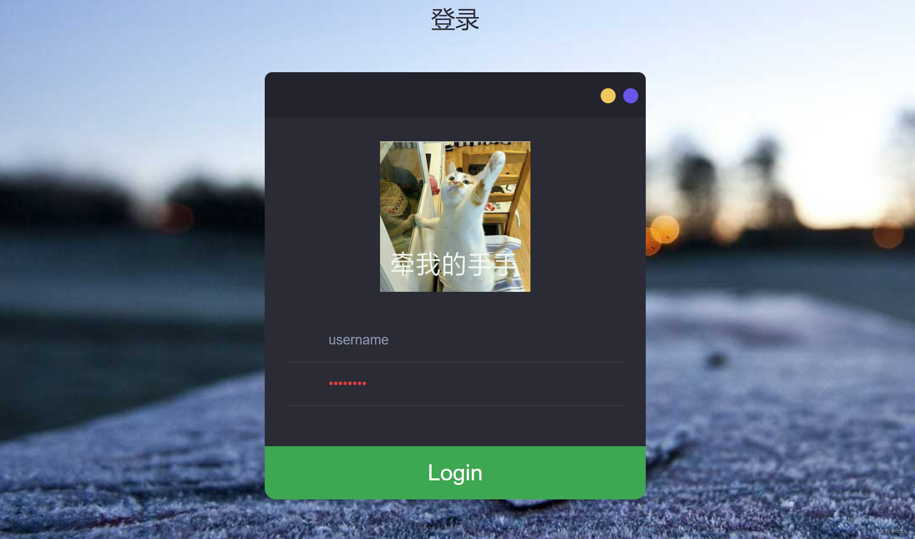 [CISCN2019 总决赛 Day2 Web1]Easyweb 1-CSDN博客