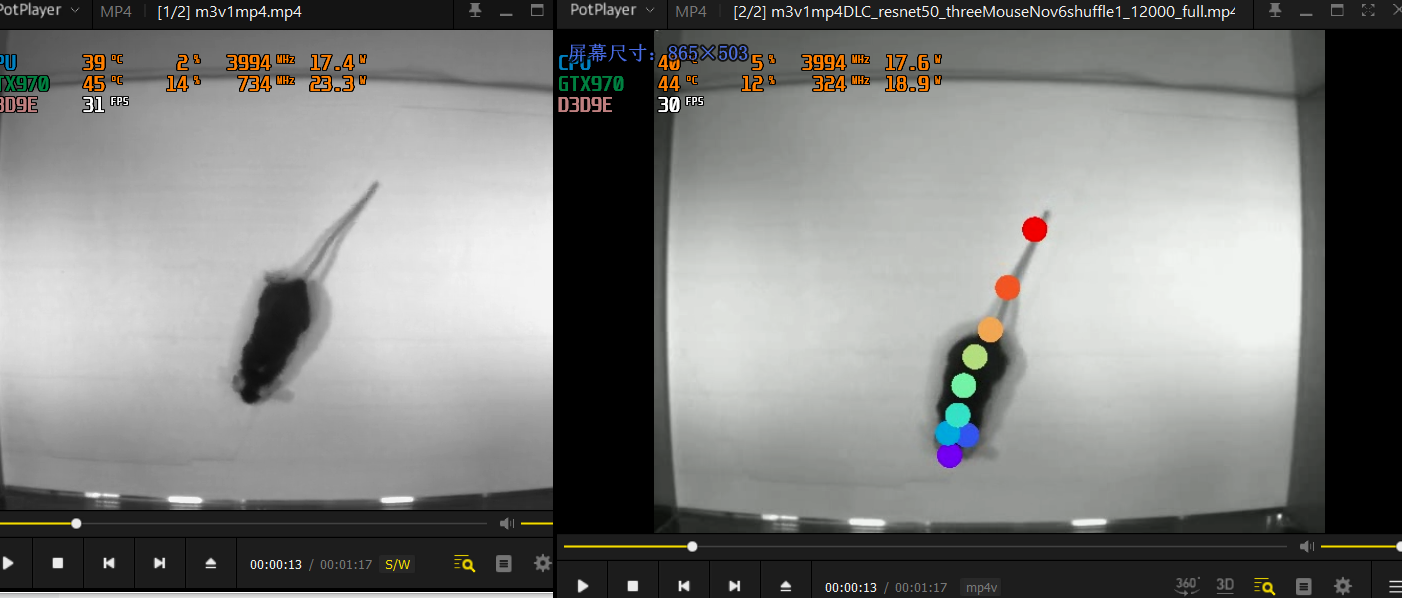 Deeplabcut----（4）用训练好的模型标注新视频_视频传播模型 标视频注-CSDN博客