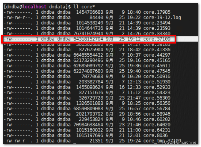 分析dm产生的core文件定位故障gdb Core文件定位报错 Csdn博客