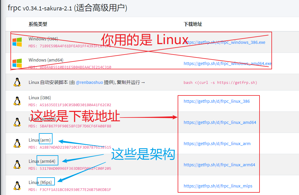 ubuntu使用Sakura frp实现内网穿透，并实现ssh连接_sakurafrp官网-CSDN博客