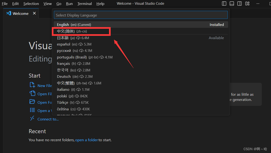 如何将VS code设置成中文_vs code设置中文-CSDN博客