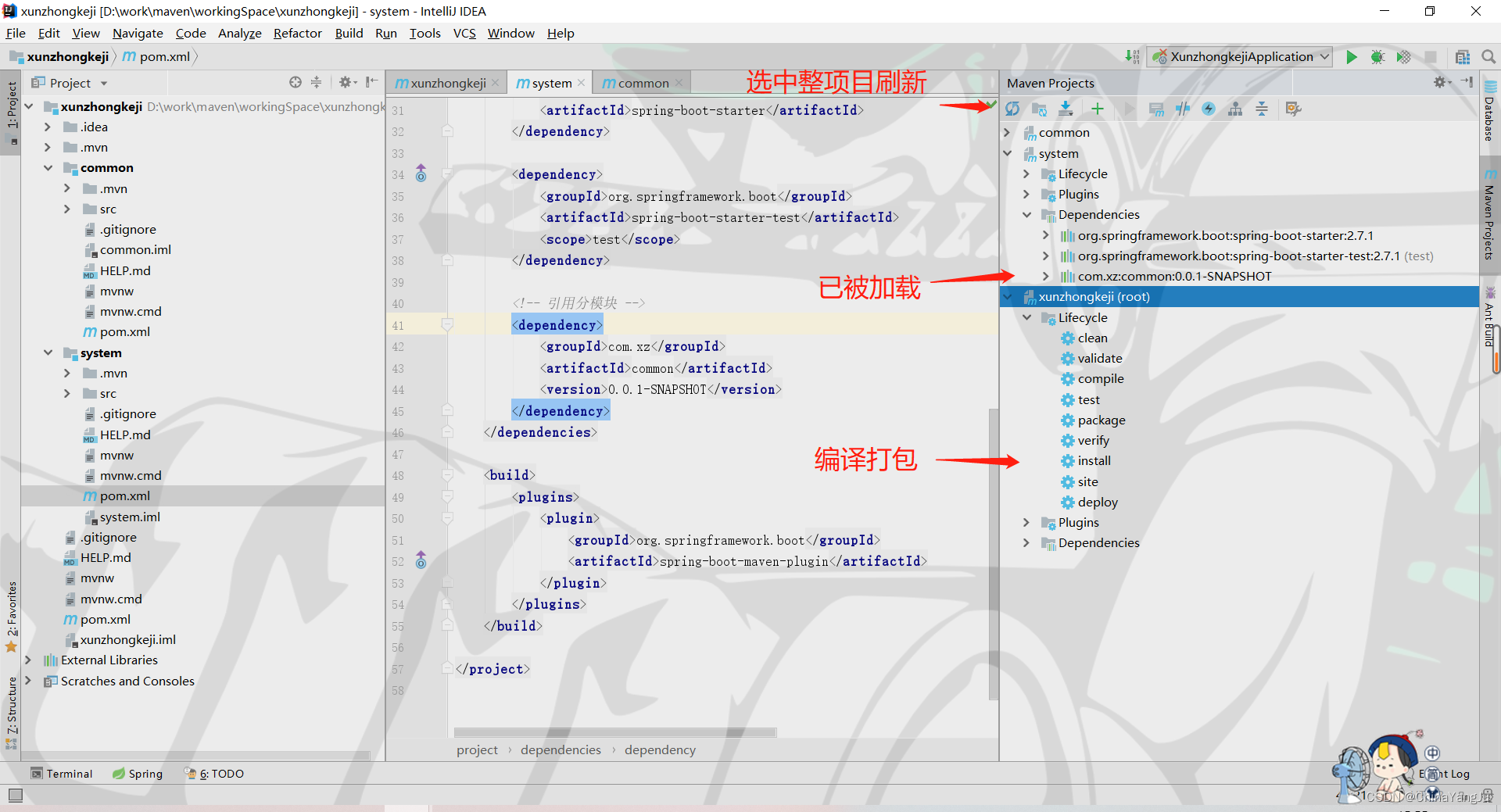 SpringBoot多模块开发_springboot 多模块-CSDN博客
