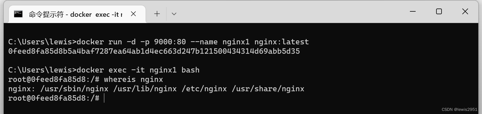 《Docker快速入门（基础篇）》在Docker中运行Nginx - 灰信网（软件开发博客聚合）