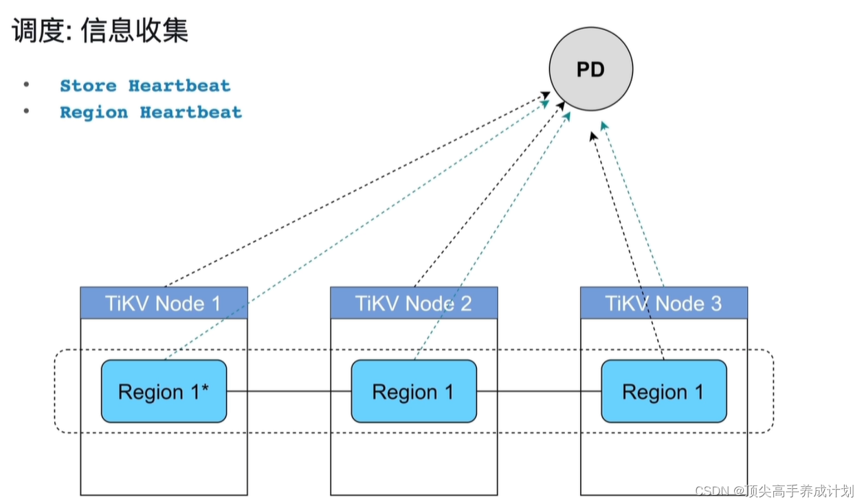 TiDB进阶篇-Placement Driver架构-CSDN博客