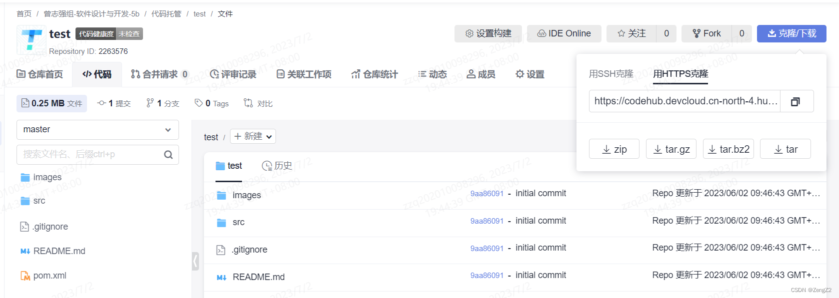 如何使用CodeArts，以及使用Idea创建项目并连接-CSDN博客