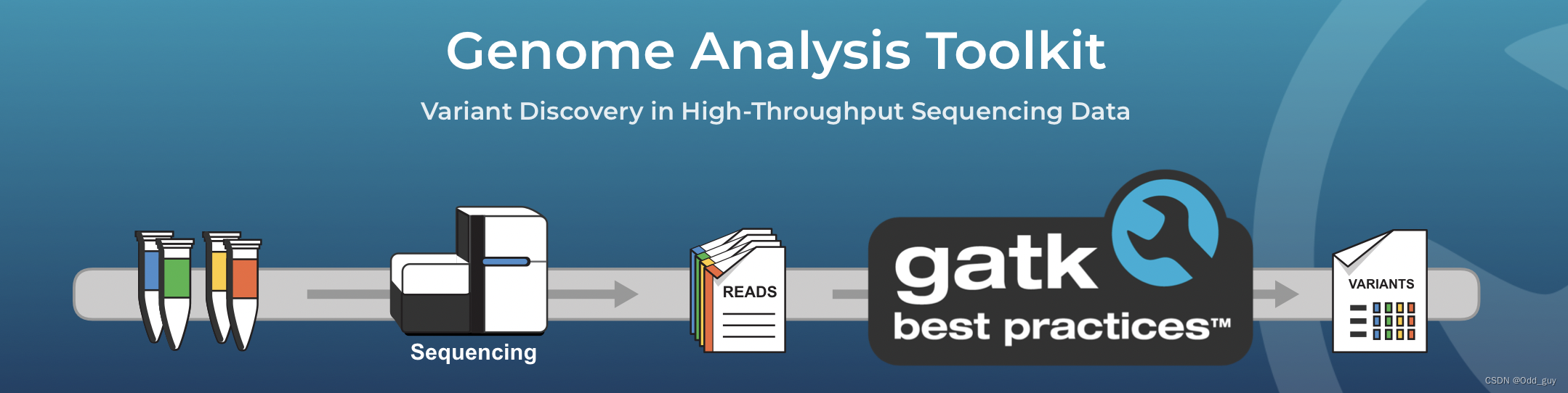 SNPs检测——建立参考基因组索引-CSDN博客