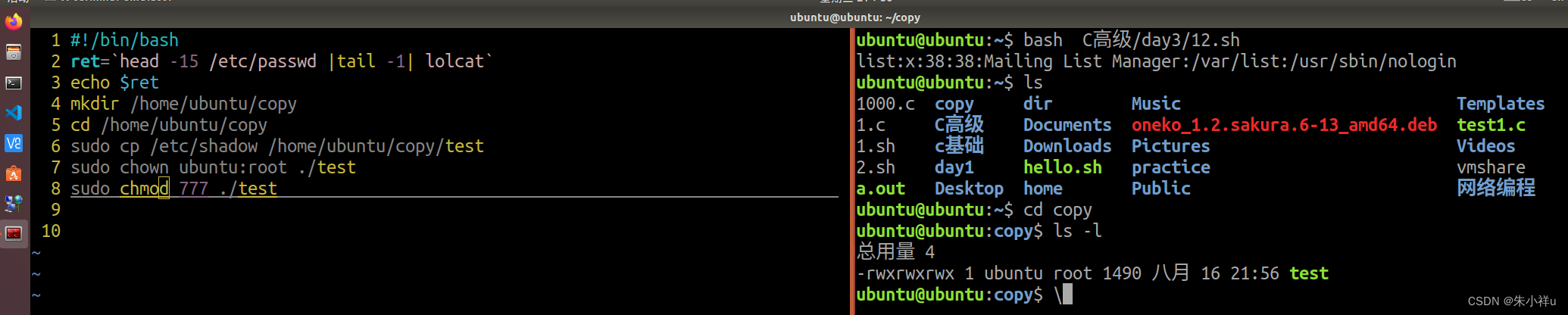 C高级 day3-CSDN博客