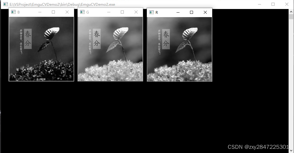 Emgu CV4图像处理之对比度亮度调整与通道分离9(C#)_c#emgucv对比度-CSDN博客