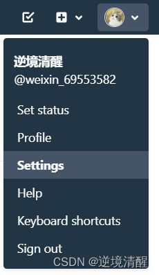 【CSDN云IDE】个人使用体验和建议（含超详细操作教程）（python、webGL方向)-CSDN博客