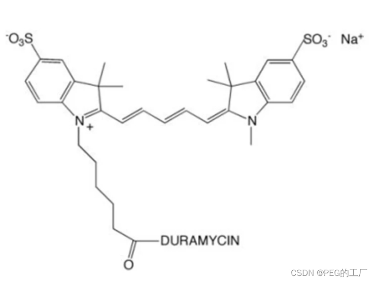 Duramycin-Cy5又名杜拉霉素-花青素CY5，是一种结合了Duramycin和Cy5的衍生荧光标记-CSDN博客