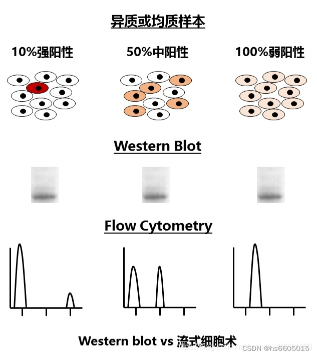 单细胞测序原理10X UMI Barcode_单细胞测序umi-CSDN博客