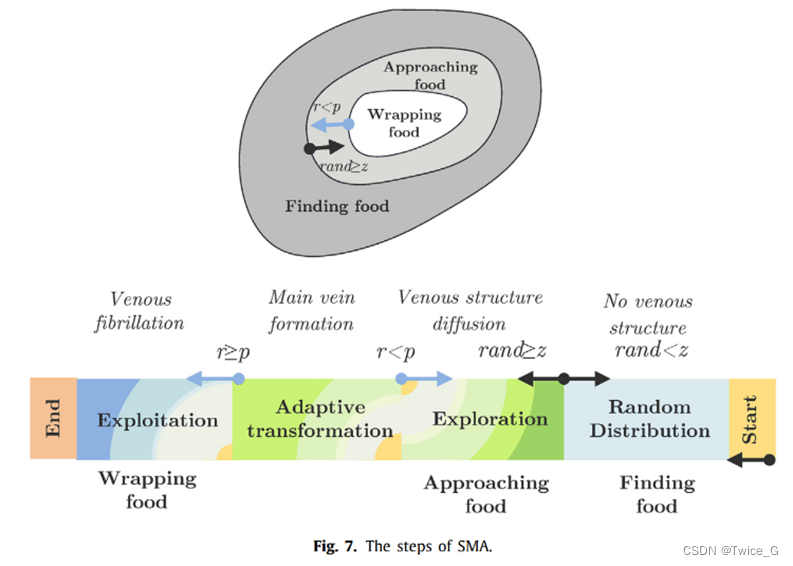 Slime mould algorithm: A new method for stochastic optimization-CSDN博客