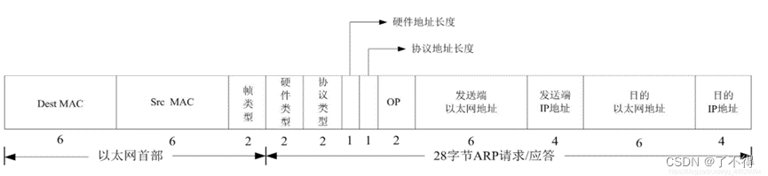 【计网实验】Lab Exercise – ARP-CSDN博客