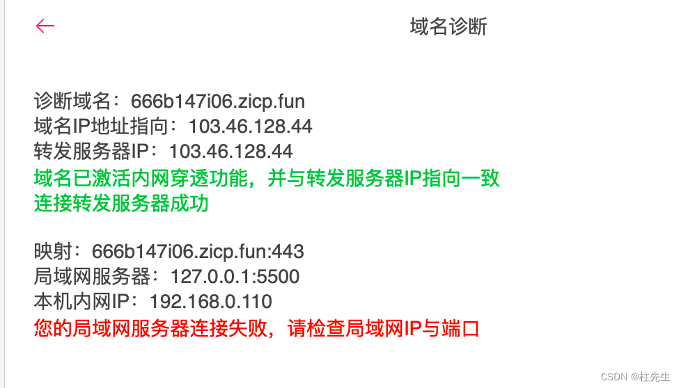 前后端服务使用内网穿透进行本地调试 Csdn博客