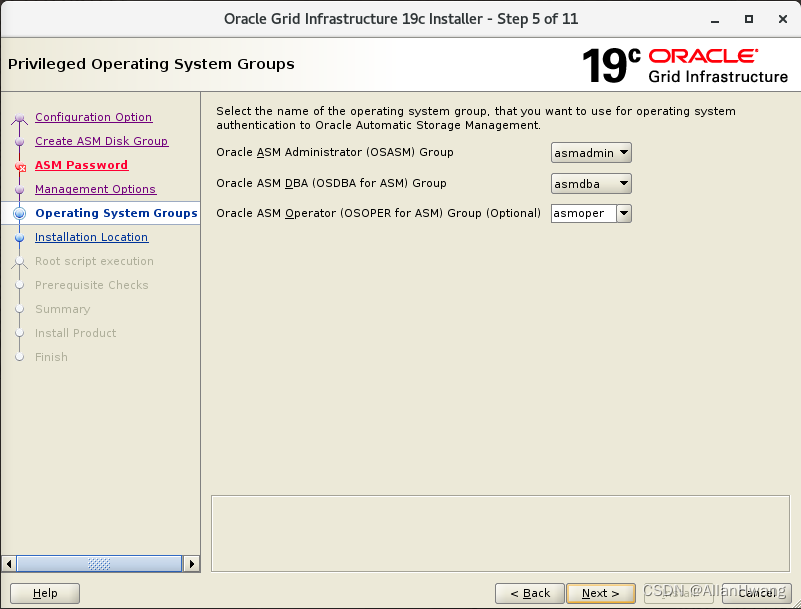 【在Oracle Linux 7 上安装Oracle 19c - 基于ASM存储的单实例数据库】_linux7安装asm所需要的包-CSDN博客