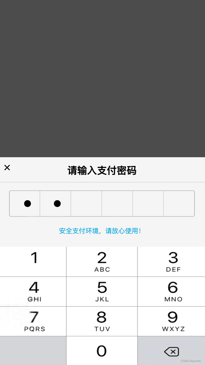 模仿支付宝输入支付密码的ui,带javascript 密码输入校验功能js模拟手机端输入支付密码效果 Csdn博客