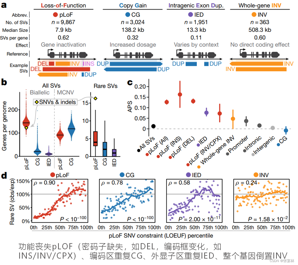 人基因组重测序系列 - 1.人基因组简介_human mutation-CSDN博客