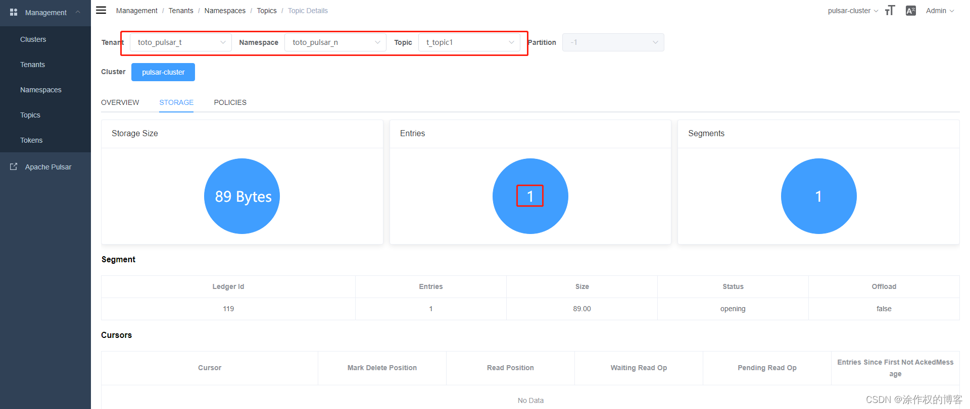 06.Apache Pulsar的JAVA API相关使用操作,基于Pulsar实现Topic的构建操作,使用JAVA如何管理租户/namespace/Topic,基于Pulsar实现数据生产 ...