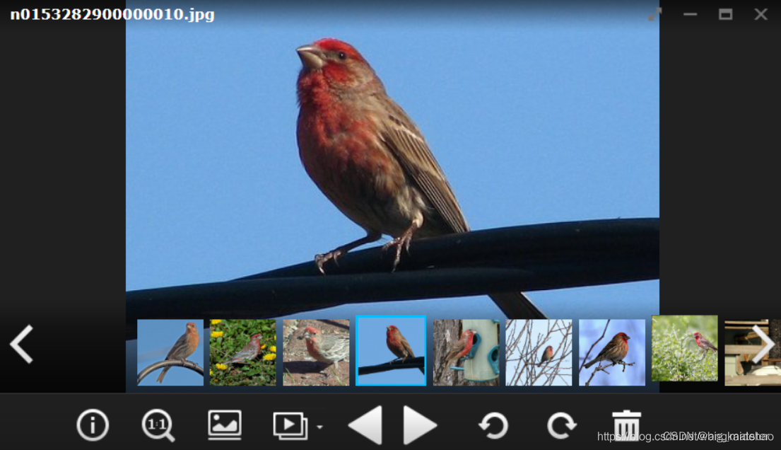miniImageNet数据集介绍-CSDN博客