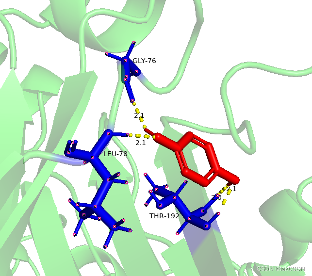 Autodock4安装及使用说明-CSDN博客