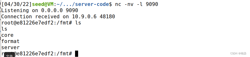 [SEEDLabs] Format String Attack Lab_梅染的博客-CSDN博客