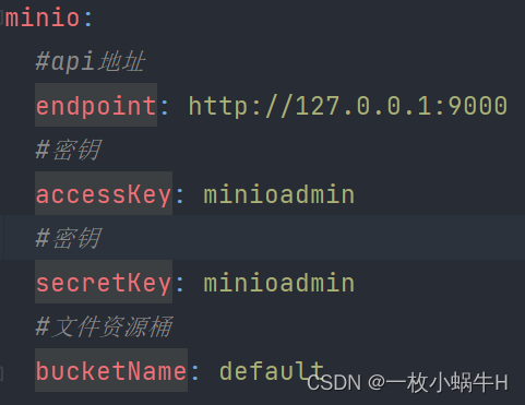 Springboot整合MinIO_spring boot集成minio_一枚小蜗牛H的博客-CSDN博客