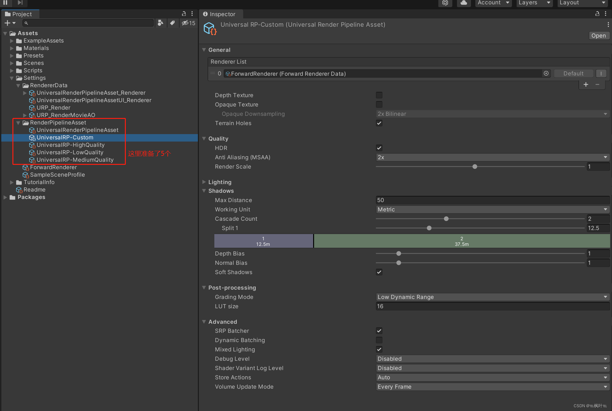 Unity Urp渲染管线下动态切换universal Render Pipeline Assetunity动态切换使用的urp数据 Csdn博客