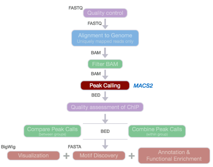 hbctraining-05_peak_calling_macs2_-log10 p value-CSDN博客