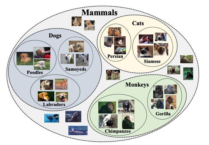 HCSC: Hierarchical Contrastive Selective Coding 解读-CSDN博客