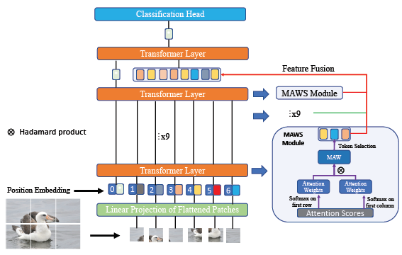 [BMVC 2021] Feature Fusion Vision Transformer for Fine-Grained Visual Categorization_ffvt github ...