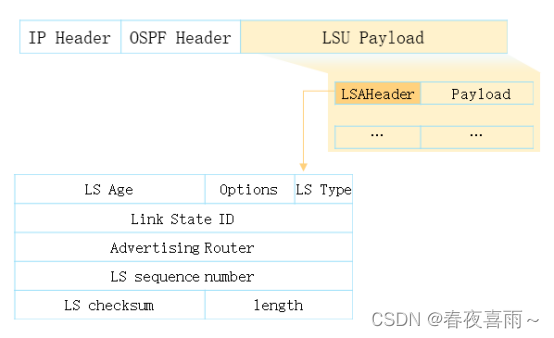 OSPF→_ospf mtu-CSDN博客