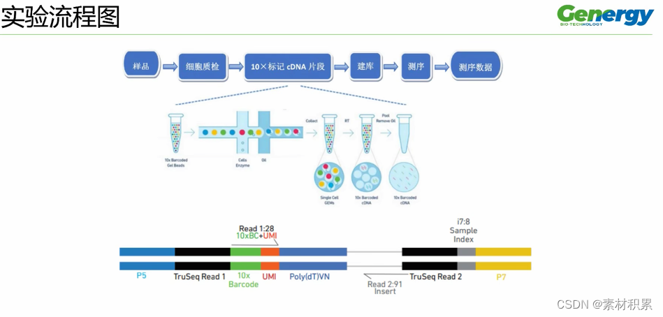 单细胞转录组测序数据分析 Overview_单细胞转录组测序结果分析-CSDN博客