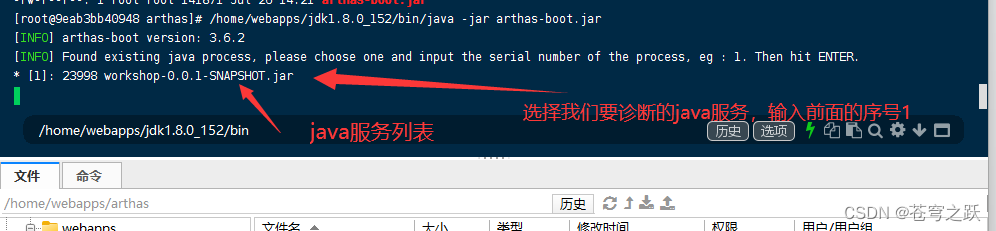 linux环境openjdk使用arthas_arthas openjdk-CSDN博客