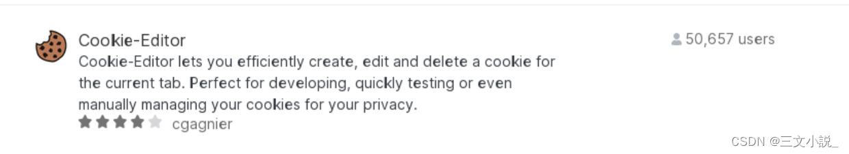 系统安全 Cookie_cookie系统-CSDN博客