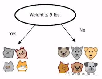 【吴恩达机器学习笔记】Part2-Week4（上） 决策树（Decision Trees）_决策树 吴恩达-CSDN博客