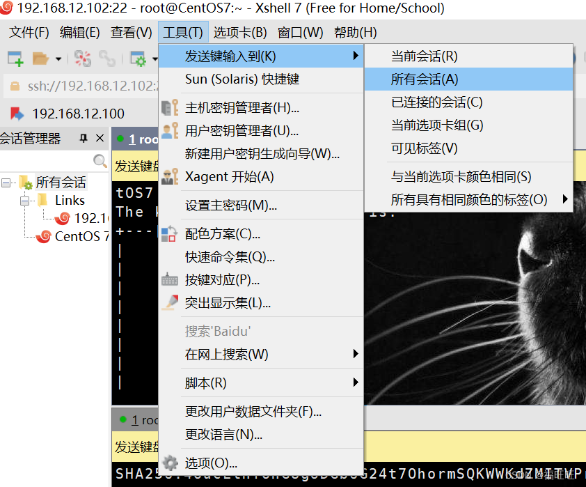 Linux7.6—Shell编程 虚拟机相互免密钥-CSDN博客