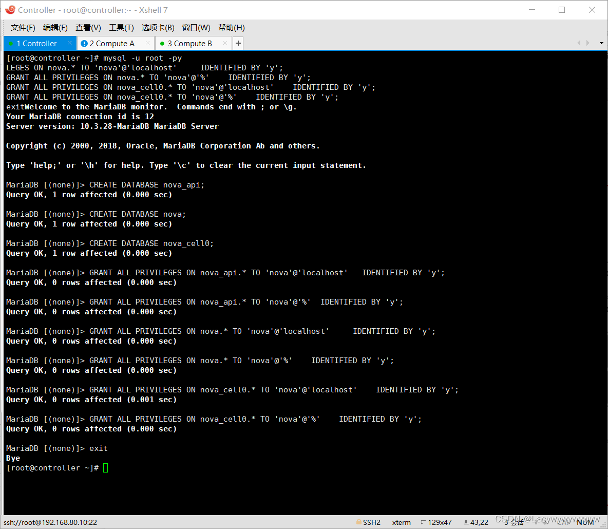 （六）VMware搭建开源OpenStack Ussuri版 —— nova_nova开源-CSDN博客