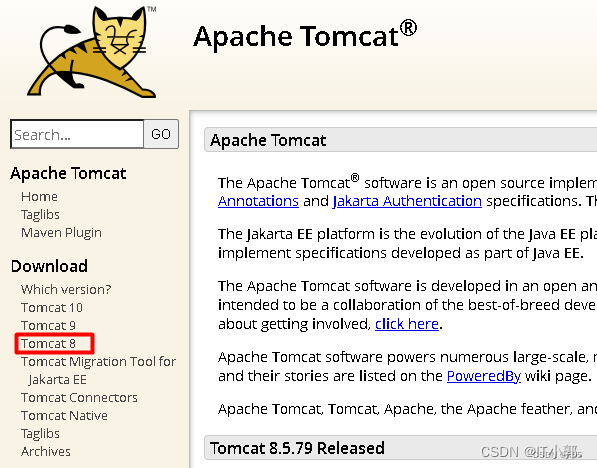 IDEA如何配置Tomcat_idea怎么配置tomcat环境变量-CSDN博客