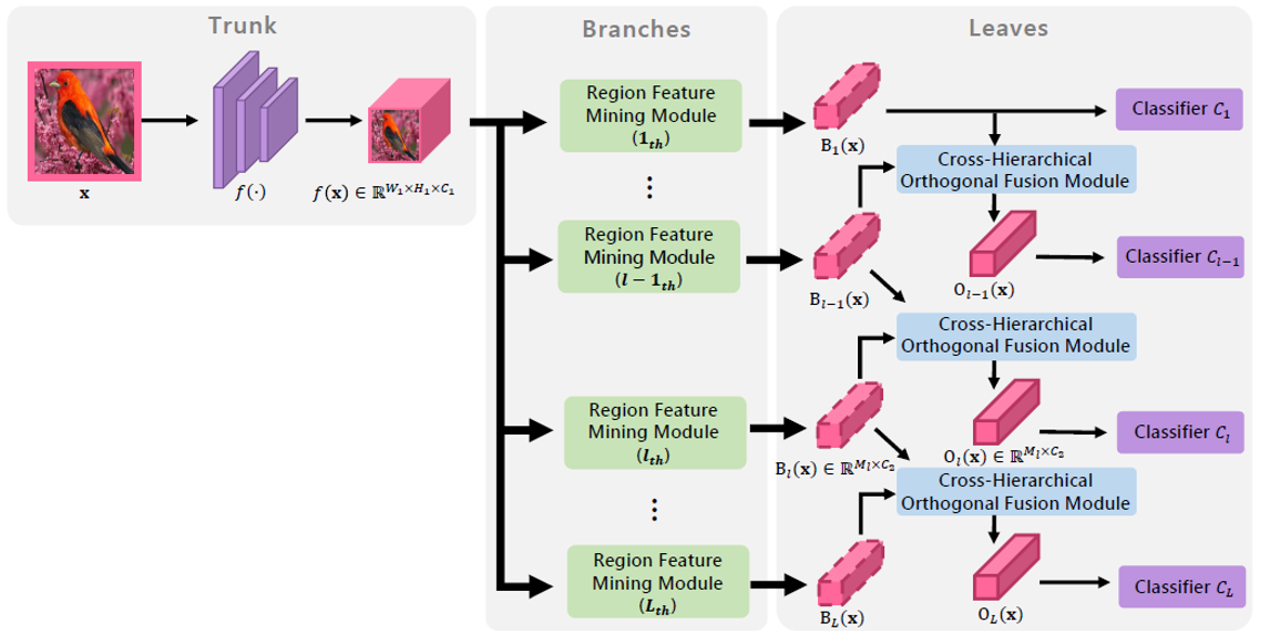 [ECCV 2022] Where to Focus: Investigating Hierarchical Attention Relationship for FGVC-CSDN博客